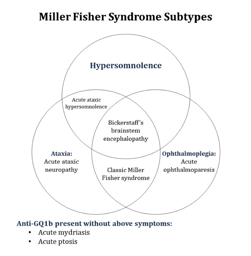 Miller Fisher variant of Guillain-Barre Syndrome - EyeWiki