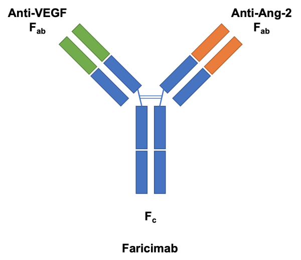 Faricimab - EyeWiki