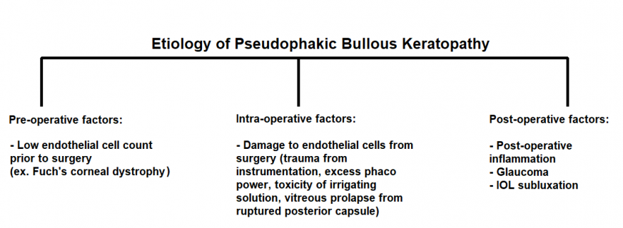 Pseudophakic Bullous Keratopathy - EyeWiki